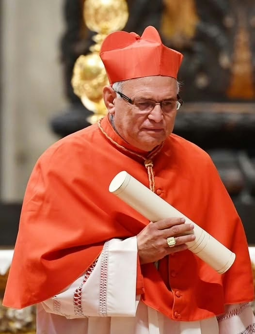 CARDENAL QUE ESTARÁ EN EL CÓNCLAVE TUVO FORMACIÓN EN EL SEMINARIO DE ...
